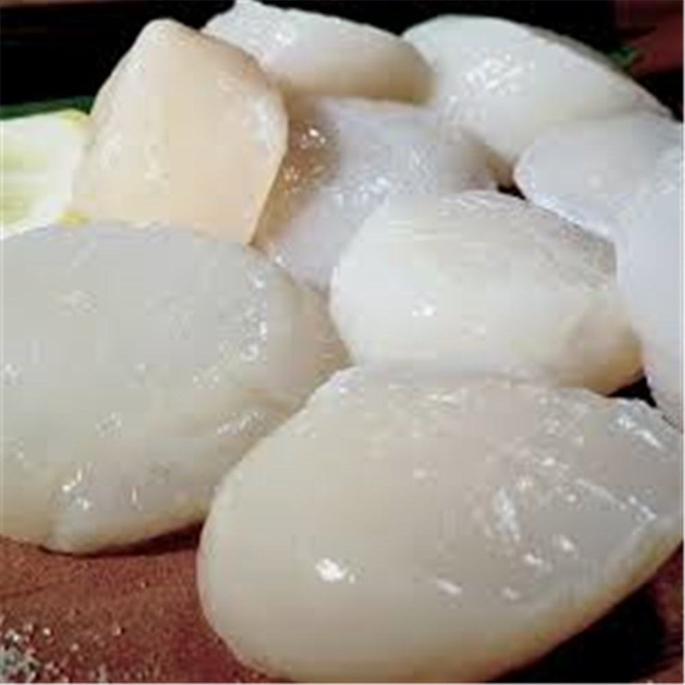 Scallops Roe OFF 60/80 1kg - Mussels And Scallops - Godden Food Group ...