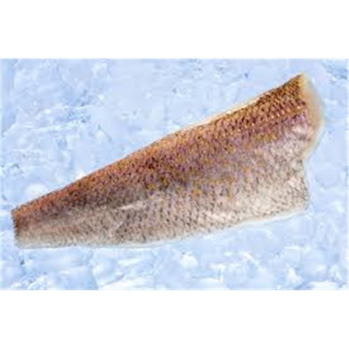 Snapper - Godden Food Group - Godden Food Group